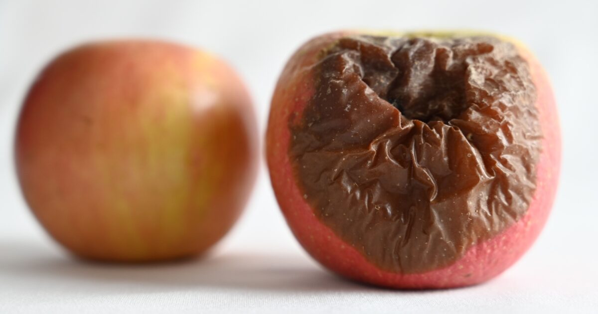 Code rot, or the poor state of a code base that's more than a few ...