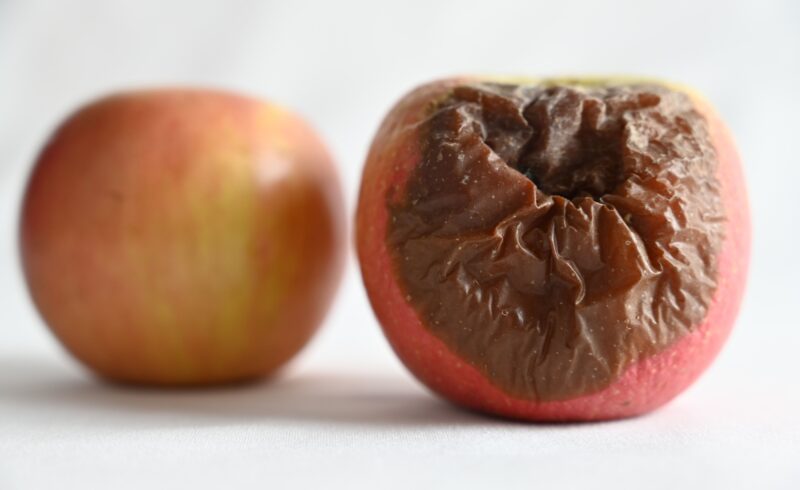 A Color Coded Guide to Ports and Adapters | 8th Light